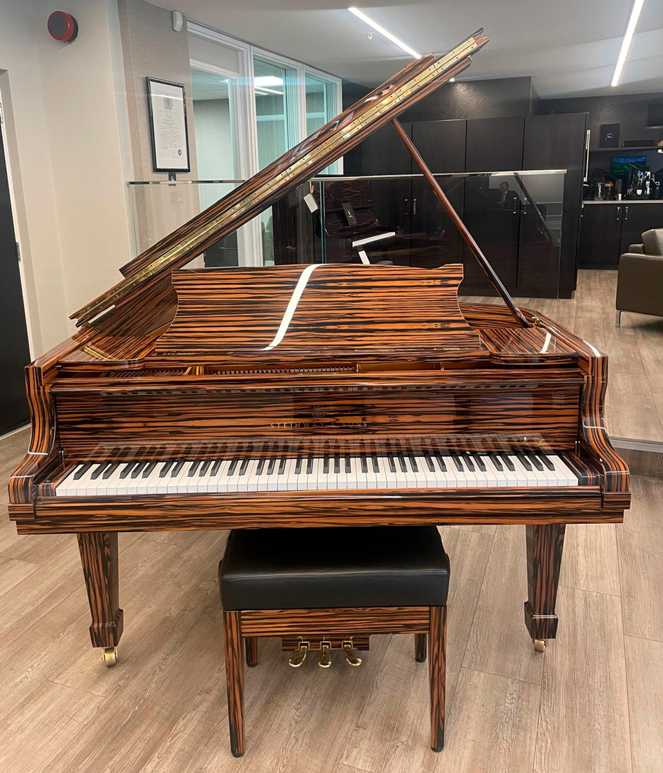 Model B in Macassar Ebony 2016 - Steinway